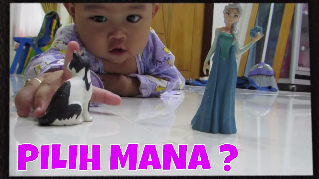Bayi Lucu : Elsa frozen vs Kucing - Bayi Lucu Elsa tidak pilih Elsa ...
