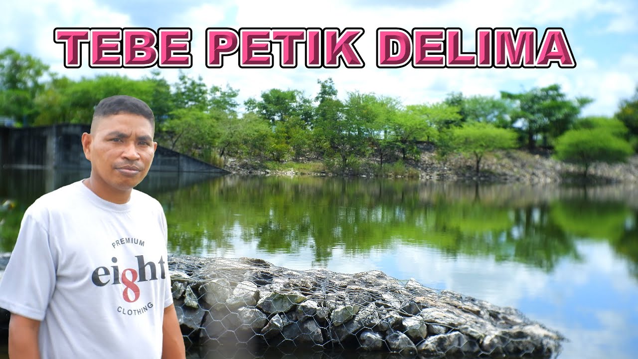 TEBE PETIK DELIMA || Rinto Nine || Cipt.Johan Alupan || Lagu Timor ...