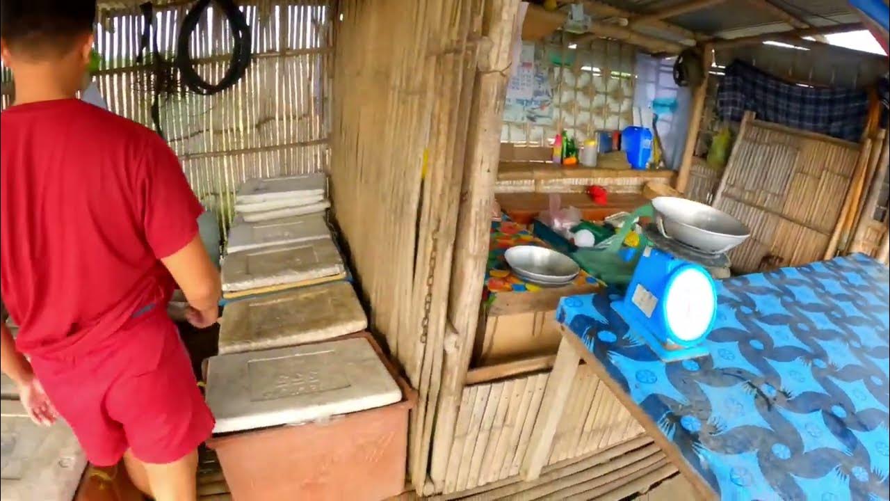 ep397 - tara bili tayo ng gulay at pusit pang ihaw - YouTube ep397 - tara bili tayo ng gulay at pusit pang ihaw - YouTube