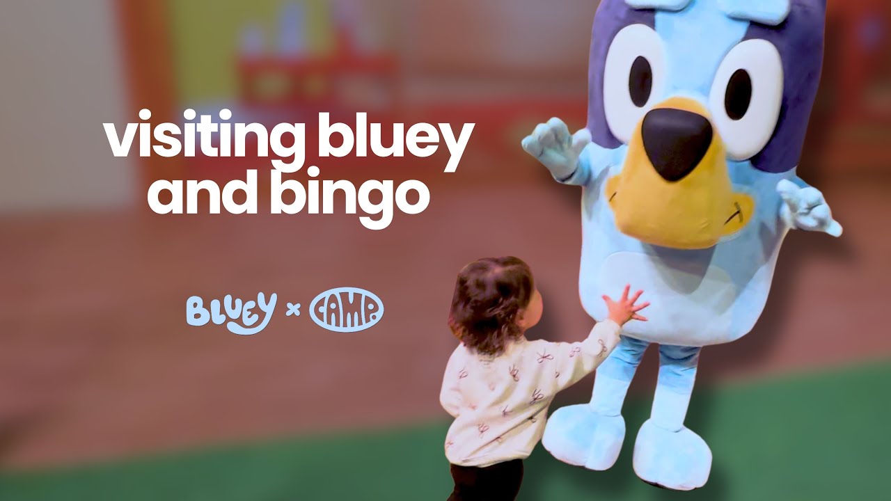 Visiting Bluey and Bingo at the COOLEST Indoor Playground in NYC! - YouTube