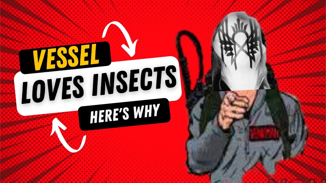 Why Is Vessel Obsessed with INSECTS? - YouTube
