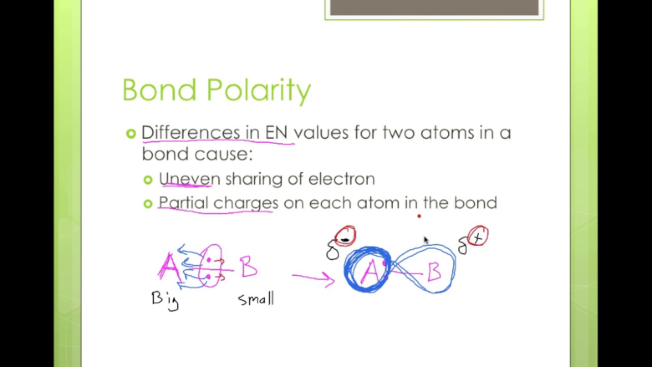 Polarity - Part 1 - YouTube