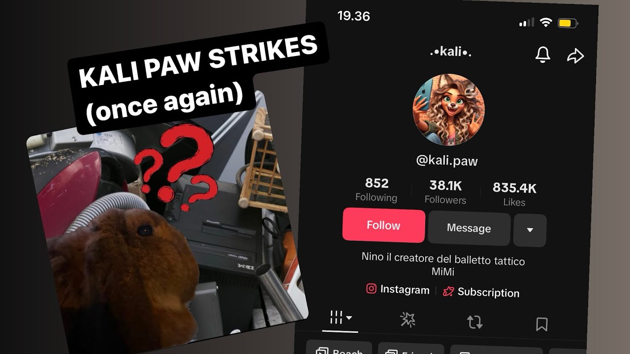 KALI.PAW DRAMA PT2‼️ here we go again.. - YouTube