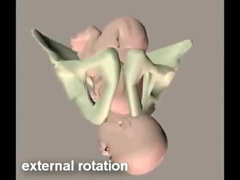 Ana bətnində uşaq necə hərəkət edir