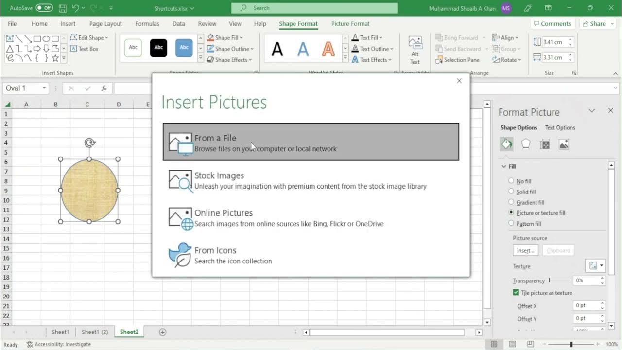 Insert a picture in a shape in excel - YouTube