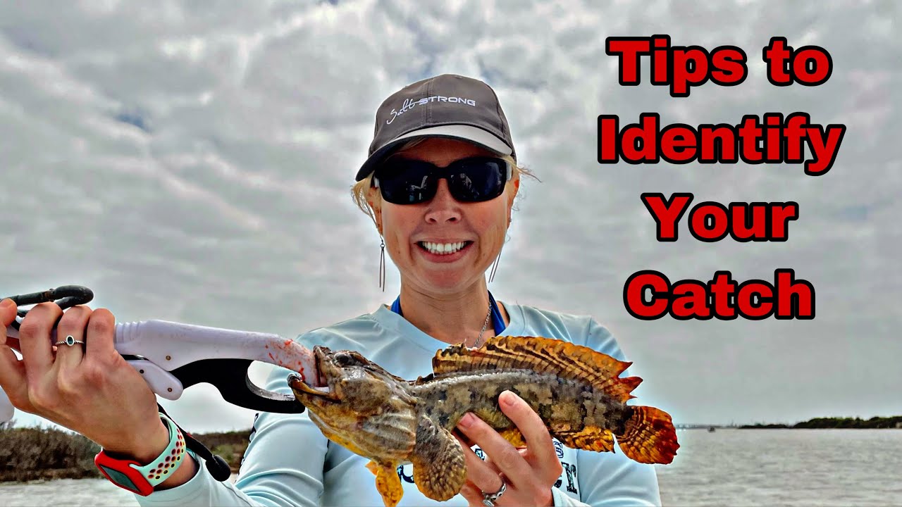 How to identify fish - tips to Identify Your Catch - Unsolicited Advice ...