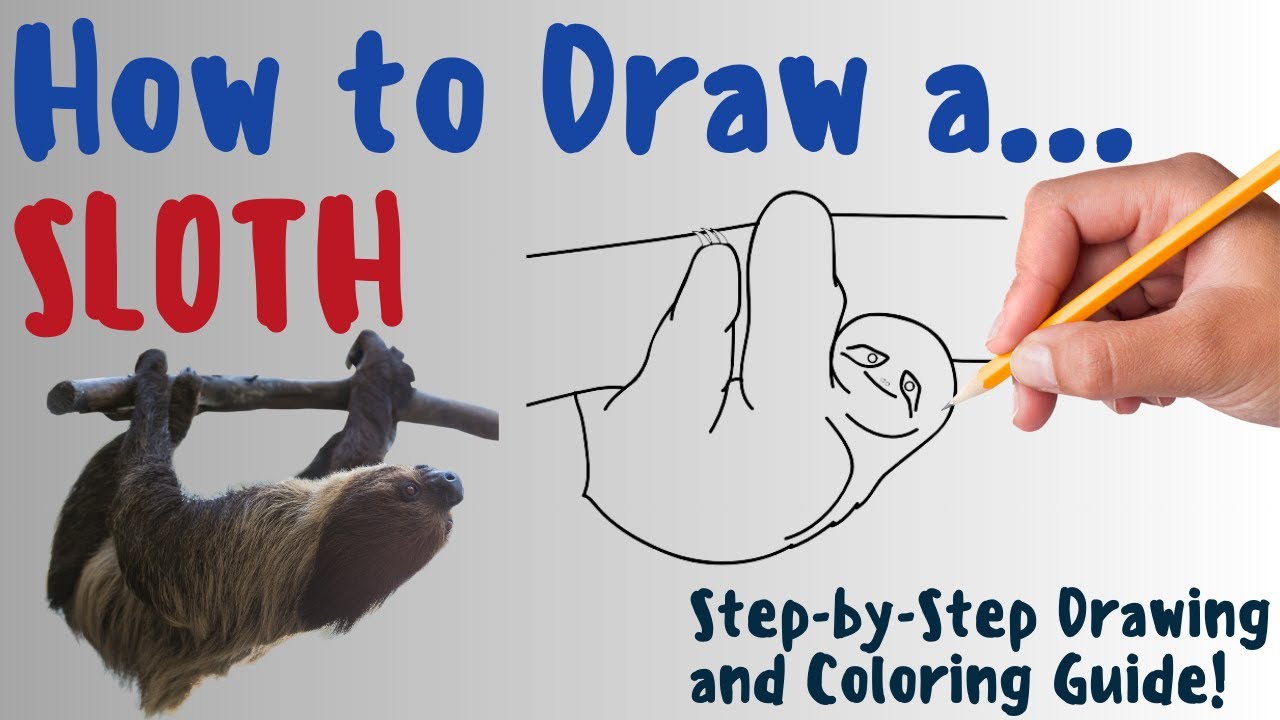 How To Draw A Sloth - Fun & Easy Step-by-Step Drawing and Coloring ...
