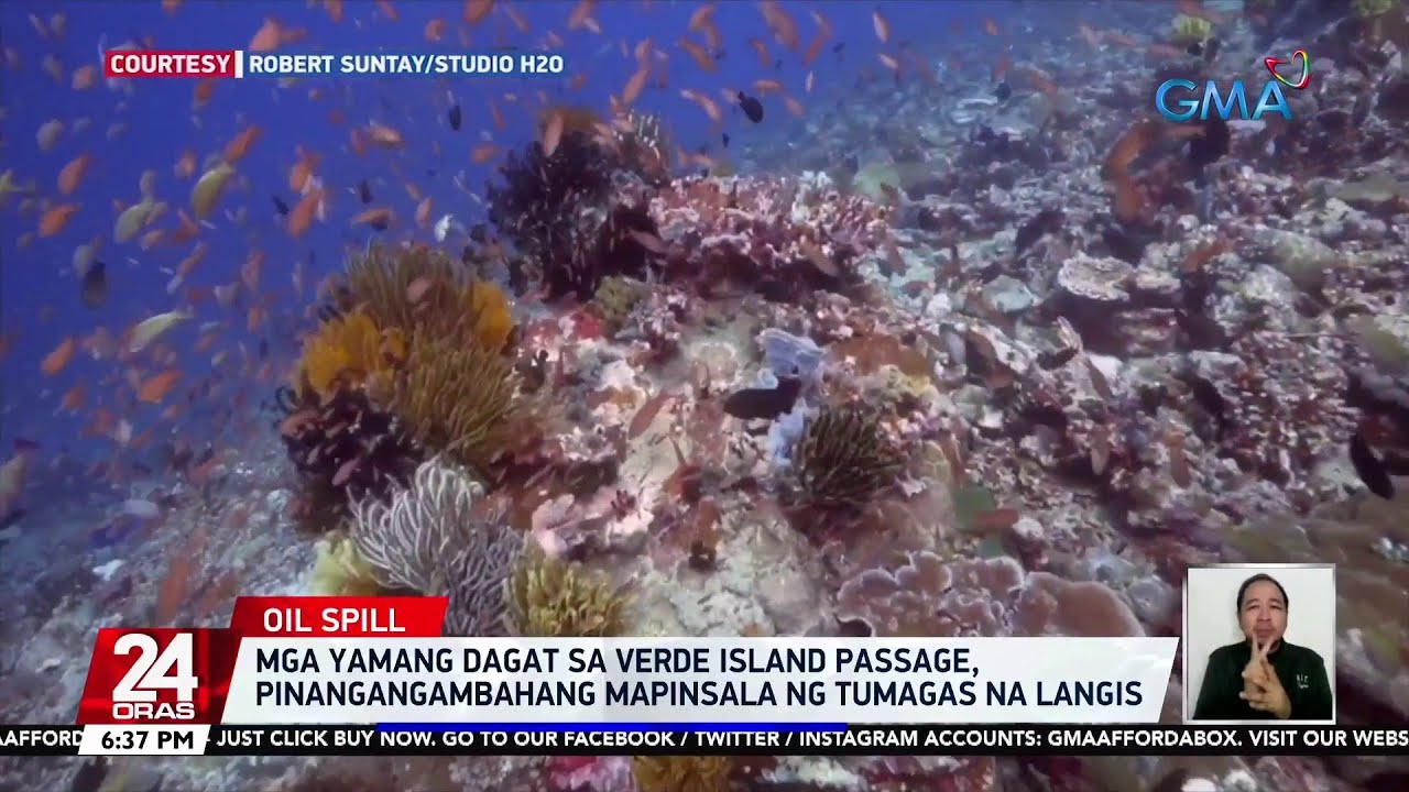 Mga yamang dagat sa Verde Island Passage, pinangangambahang mapinsala ng tumagas na langis | 24 ...