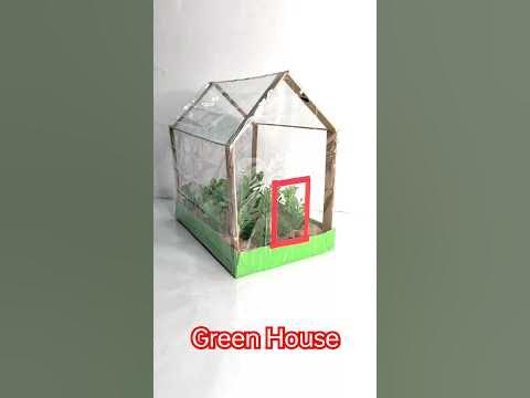Greenhouse School Project #greenhouse #greenhousefloweringplants - YouTube