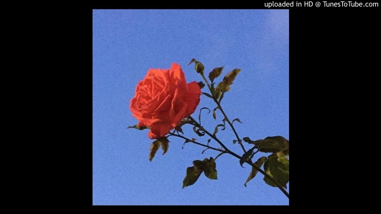 [FREE] INDIE ROCK / DARK ALTERNATIVE ROCK TYPE BEAT "Red Roses" - YouTube