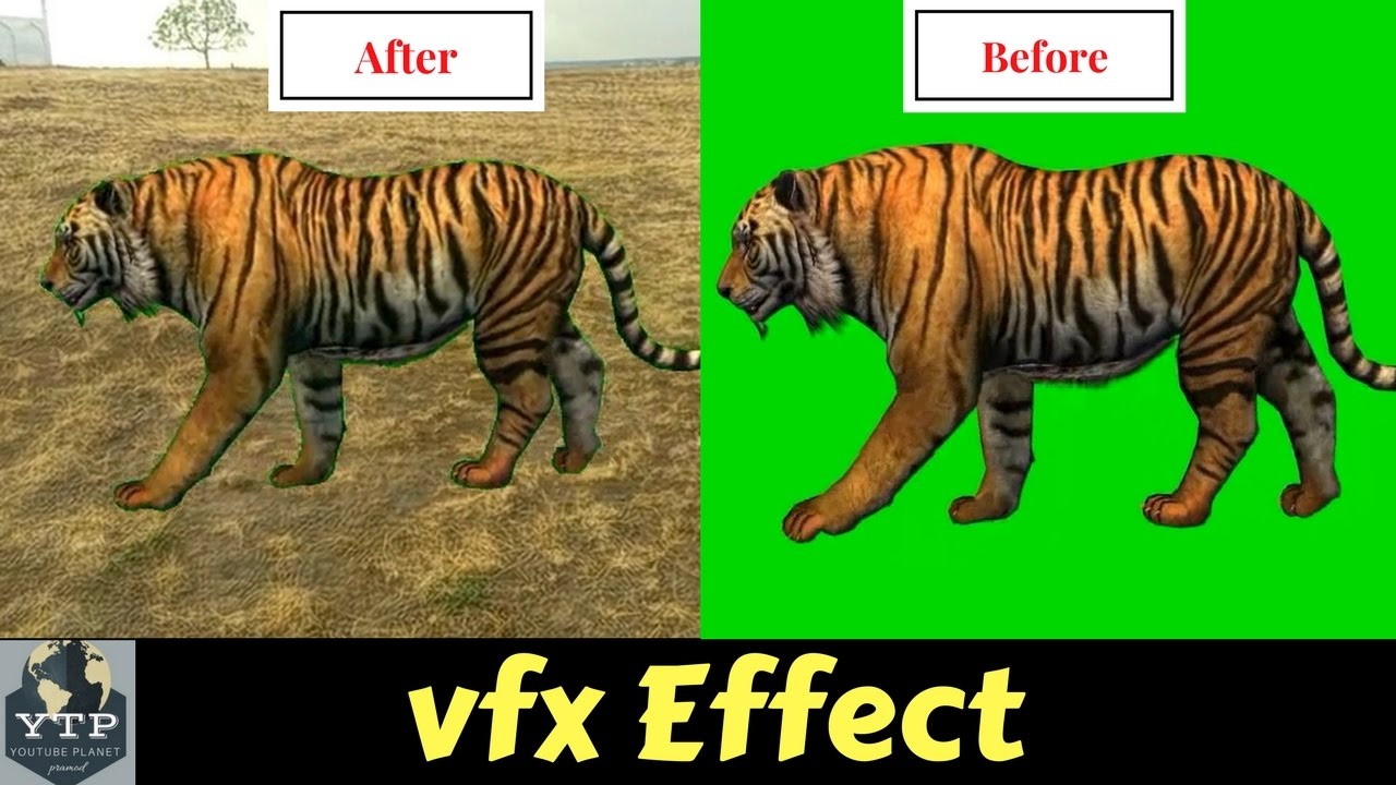 vfx effect tiger walking, greenscreen effect.. - YouTube