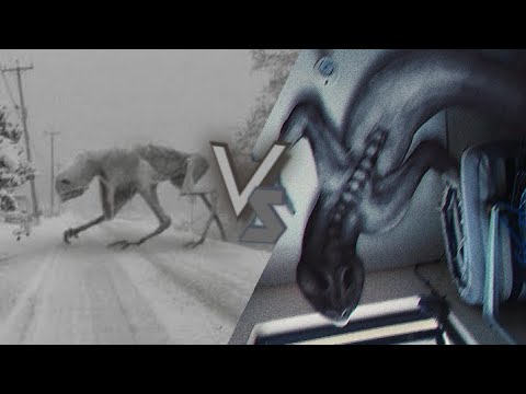 Snow day (malcrow7 creature) vs Attic resident (malcrow7 creature ...