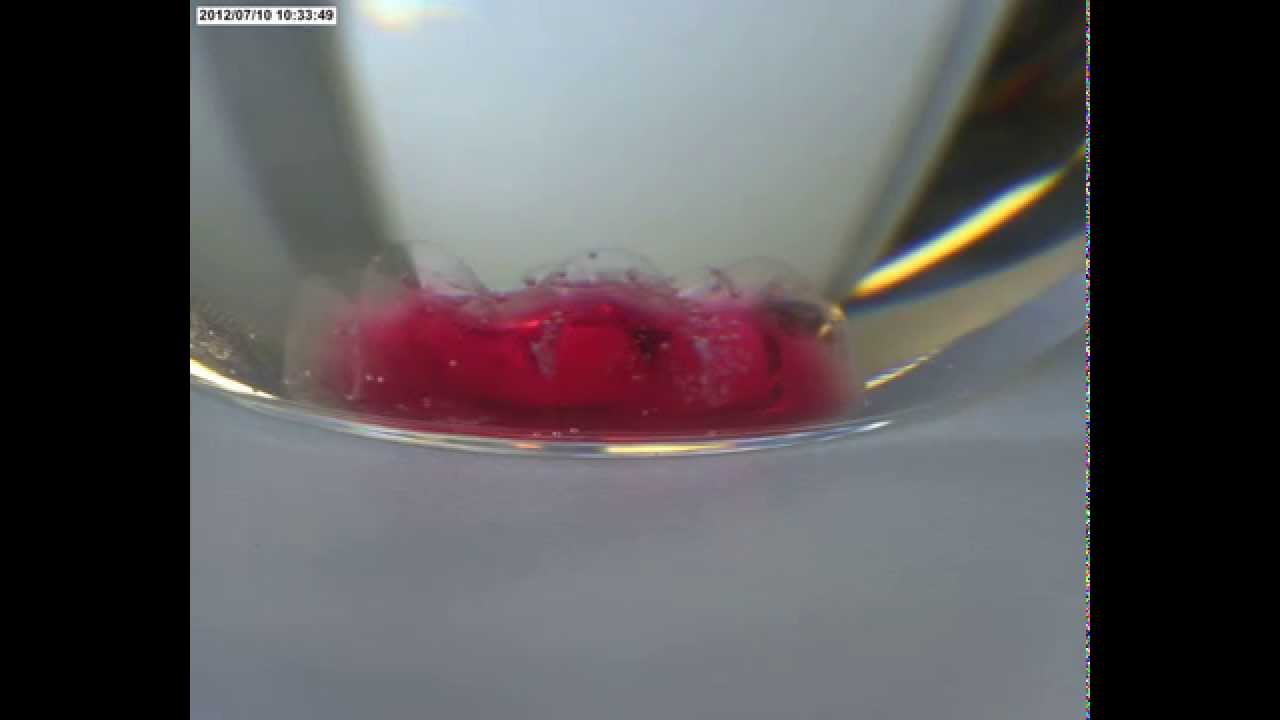ELMO Visualiser: Gummy bear in water experiment.avi - YouTube