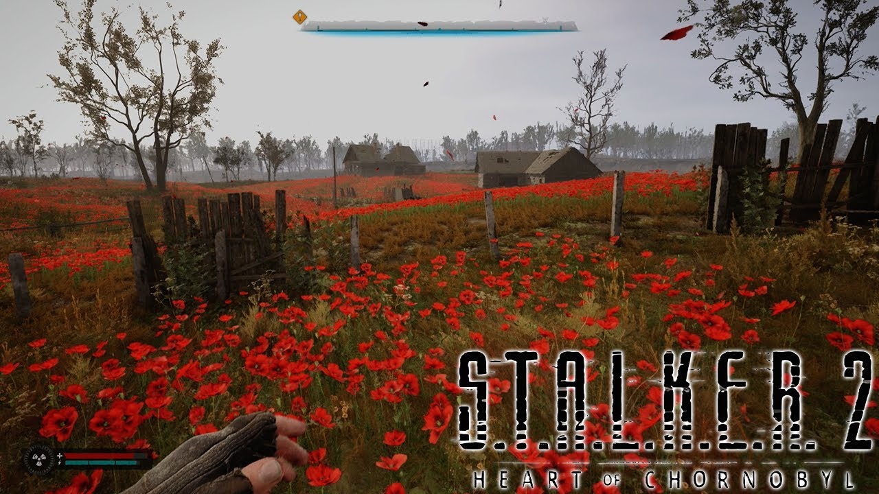 Root Cellar with the Orthodox Icon Location - The Poppy Field | Stalker ...