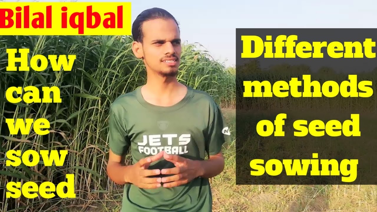 Methods of seed sowing || Different methods of seed sowing || seed ...