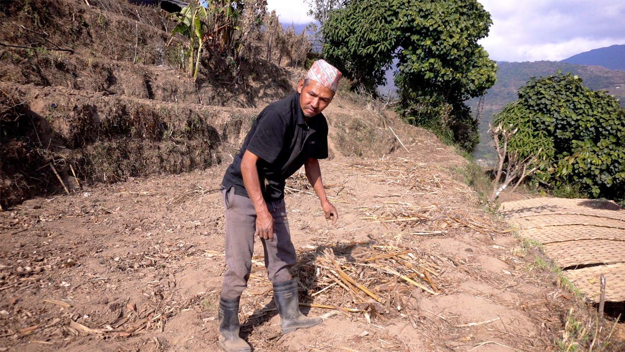 jungle man is working in the farm field || family in the jungle ...