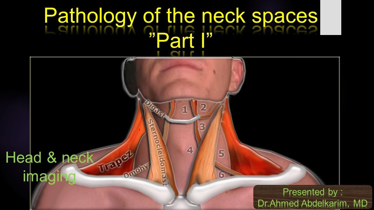 8-Pathology of the neck spaces "part I" - YouTube