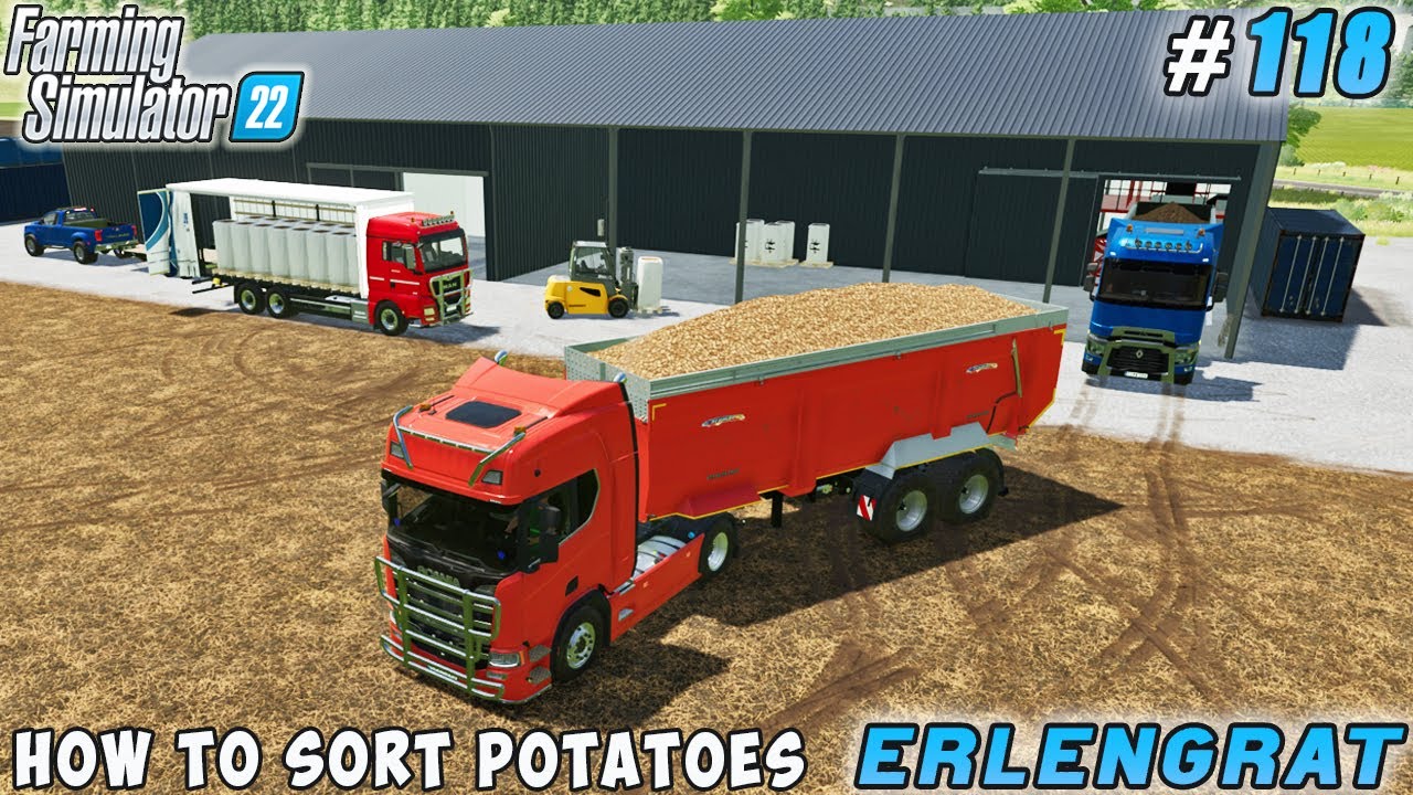 Building sorting shed, sale of premium & seed potatoes | Erlengrat Farm ...
