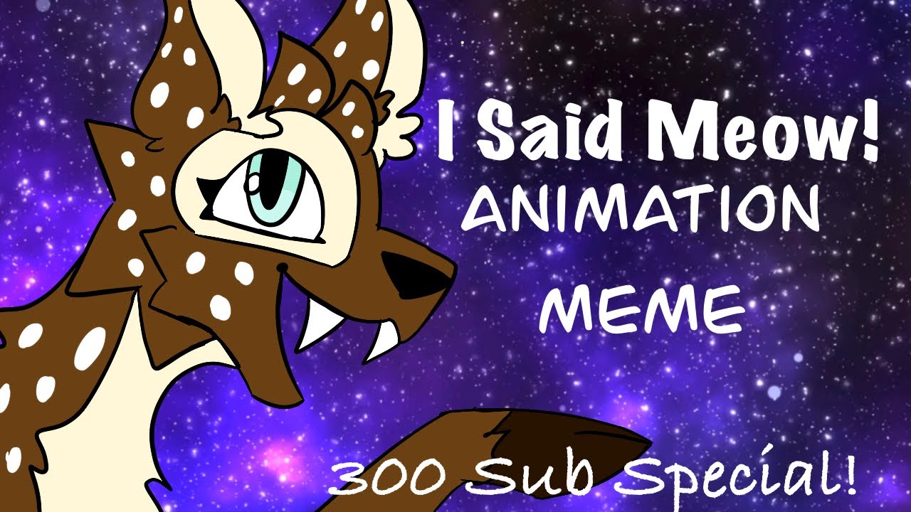 I Said Meow! I Animation Meme I 300+ Sub Special - YouTube