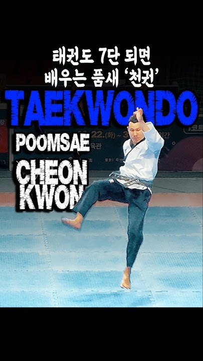 태권도 7단 되면 배우는 품새 천권 #taekwondo #poomsae #cheonkwon - YouTube