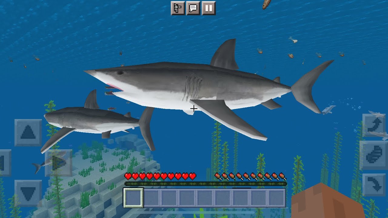 White Shark ADDON Mod In Minecraft Pocket Edition | MCPE - BOY 👦 - YouTube
