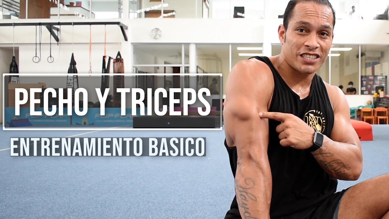Rutina de Pecho y Triceps - Entrenamiento Completo [DMTX] - YouTube