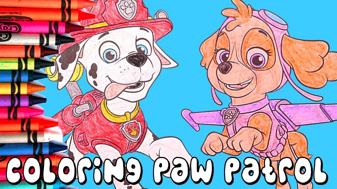 Paw Patrol Coloring with Crayola Crayons | Learning Colors | Learning ...