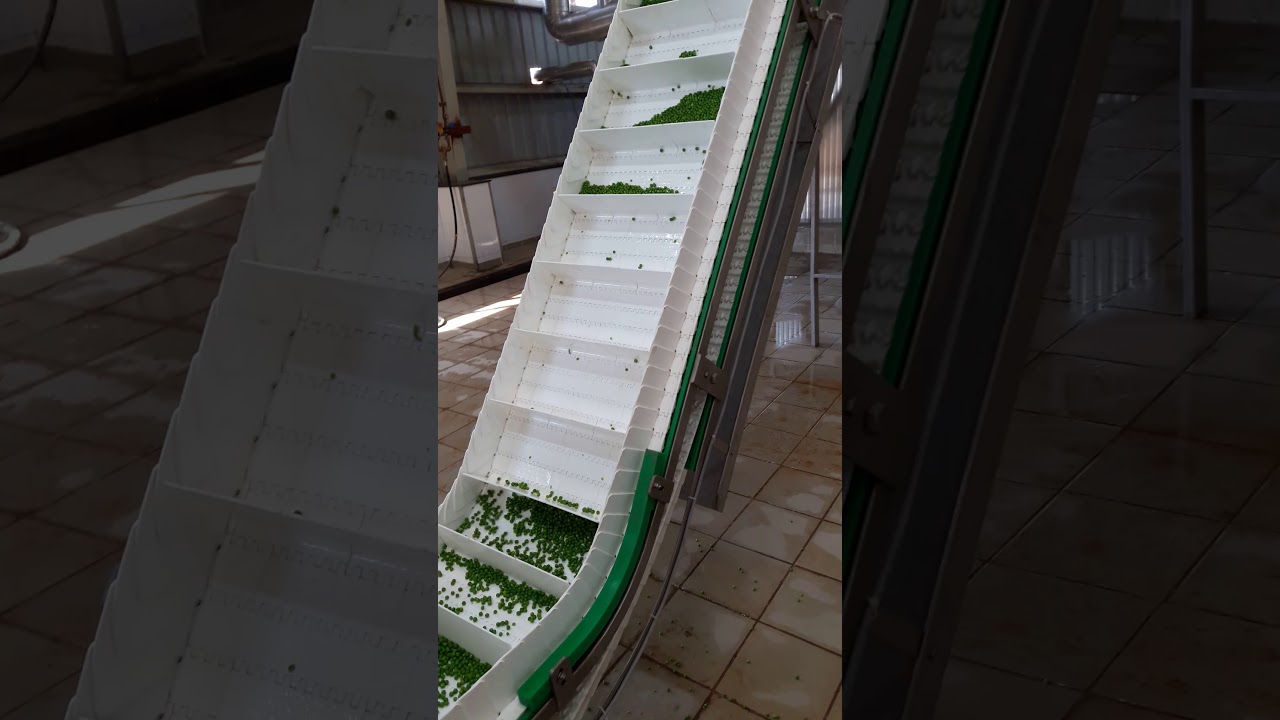 Safal matar process plan - YouTube