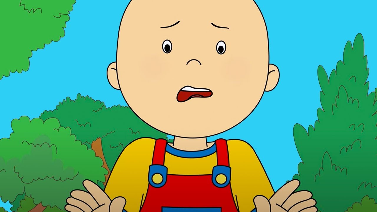 Caillou VS Naturaleza | Caillou en Español - WildBrain - YouTube
