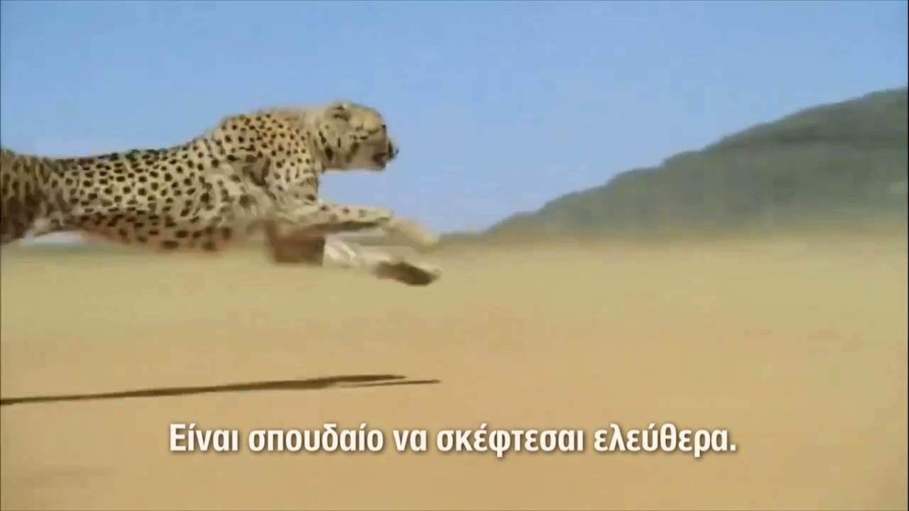 Είναι Σπουδαίο Να Σκέφτεσαι Ελεύθερα | 60 Χρόνια Εκπαιδευτικός Όμιλος ...