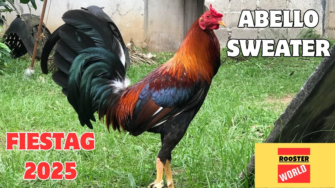 Fiestag 2025 | Richard Jimenez | Rommel Manalo | Kano Raya - YouTube