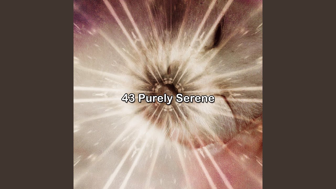 Forty Winks - YouTube