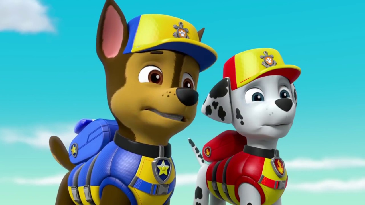 Paw Patrol Funny Moments - Best Animation Moments For Kids #14 - YouTube