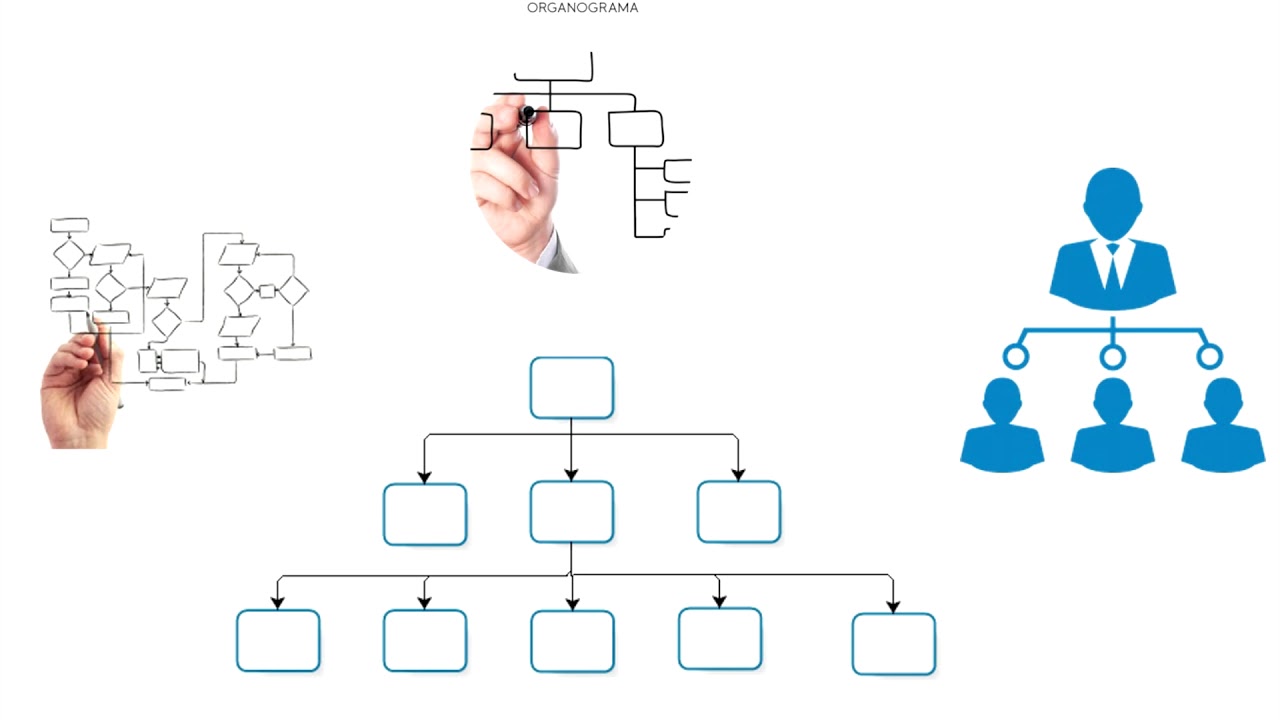 RAMOS DA MATEMÁTICA - YouTube