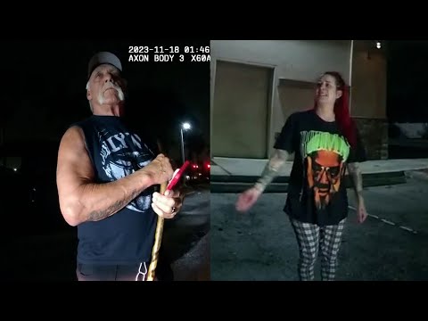 Nick Hogan's Girlfriend Goes Off on Police at Scene of Hulk's Son DUI Arrest