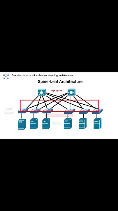 Spine Leaf: CCNA 1.2 Characteristics of Network Topology Architectures ...