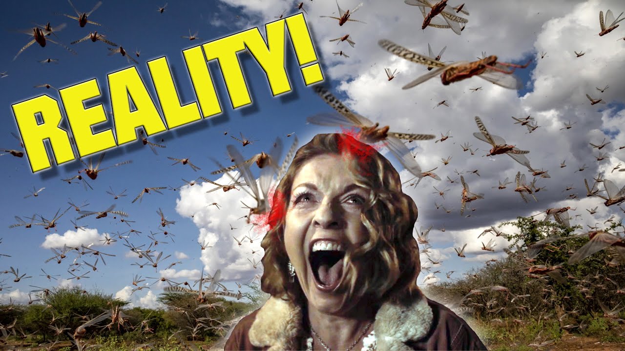 Carnivorous Locusts in Turkey?! - Unbelievable Bible prophecy REALITY ...