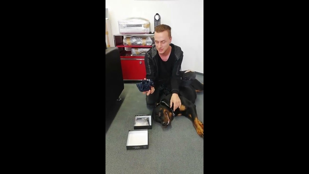 Unboxing Solar Fake - "You Win. Who Cares?" - YouTube