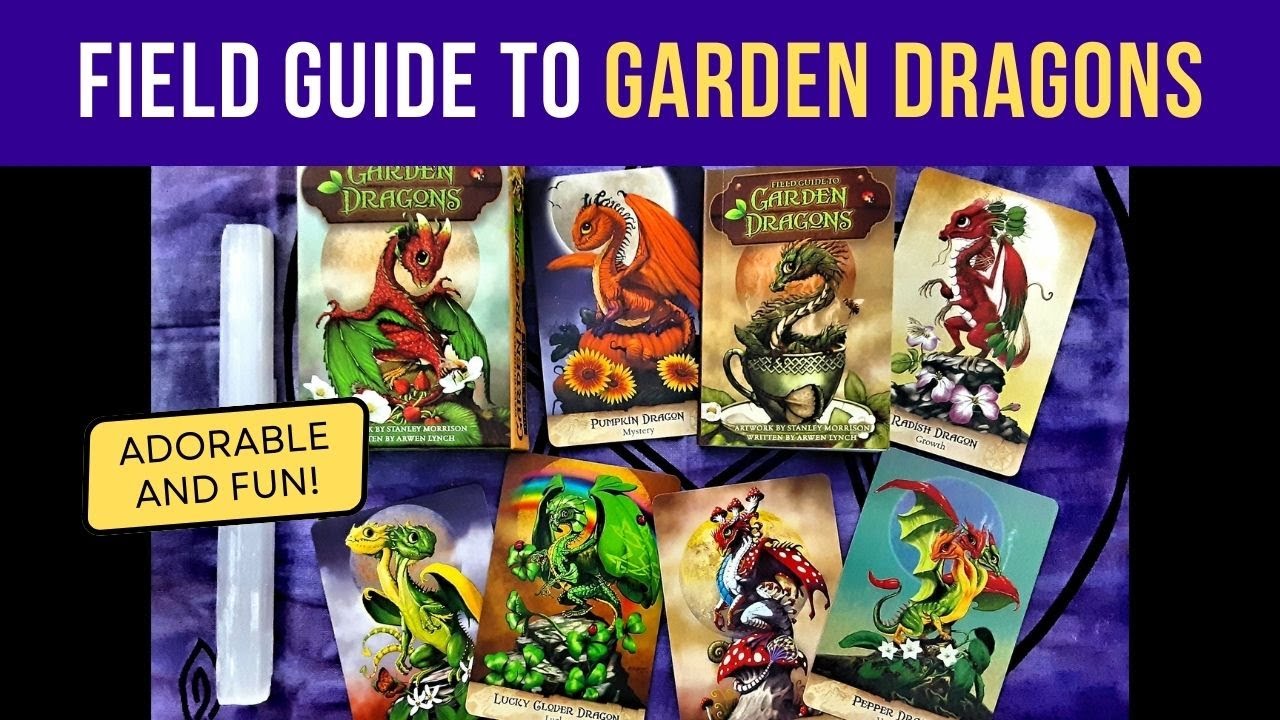 Field Guide To Garden Dragons - YouTube
