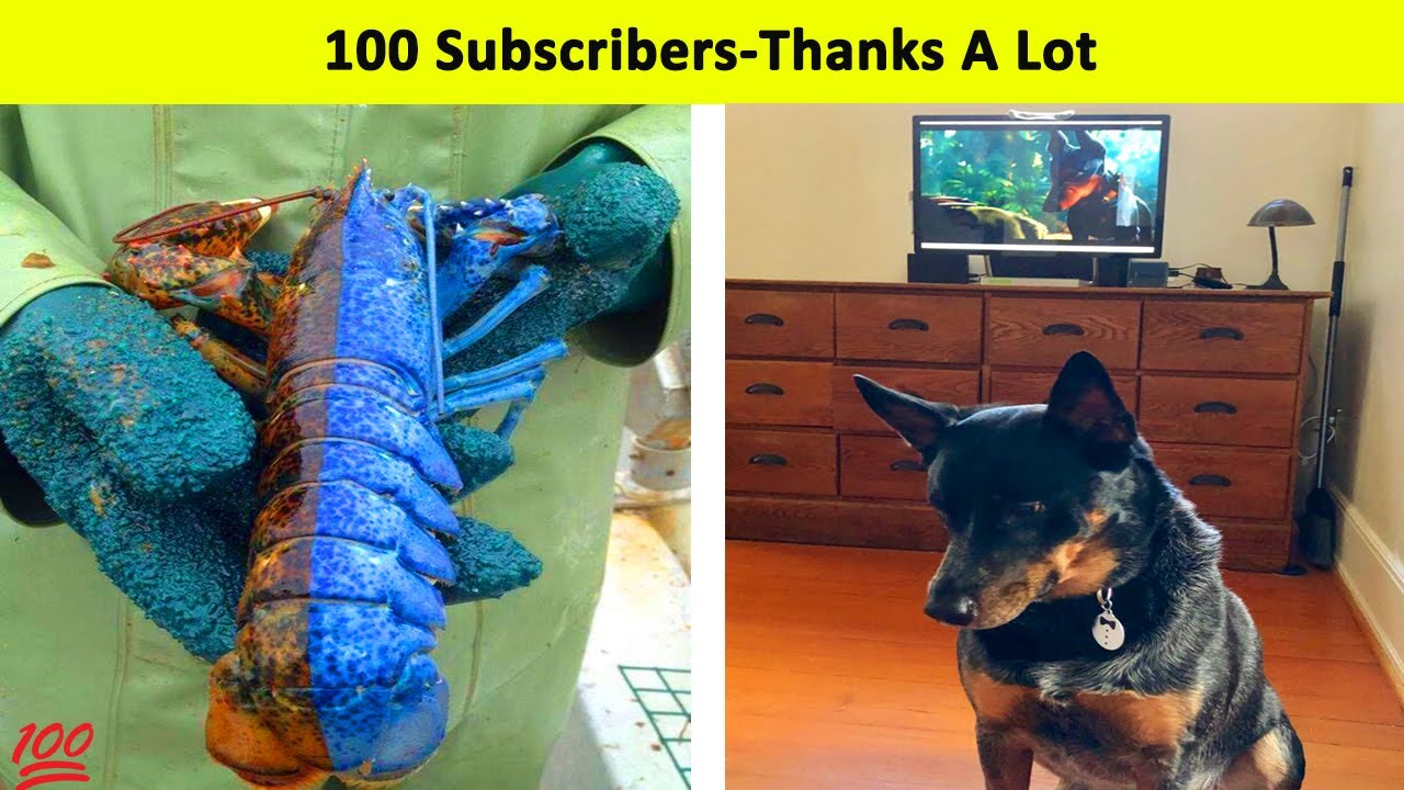 what-are-the-odds-of-that-happening-again-100-subscribers-youtube