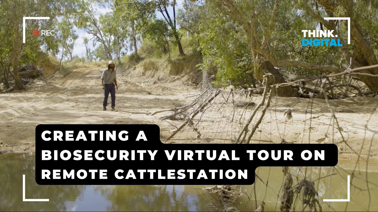 Creating a Biosecurity Virtual Tour for a Remote Cattle Station - YouTube