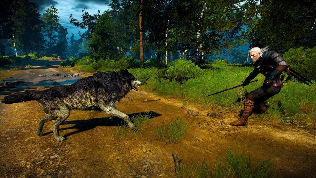 The Witcher 3 : Wild Hunt - Gameplay - Free Roam & Exploration - YouTube