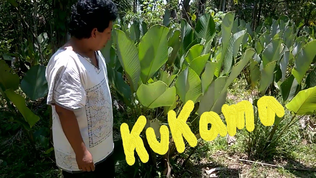 CULTURA KUKAMA / costumbres y tradiciones - YouTube