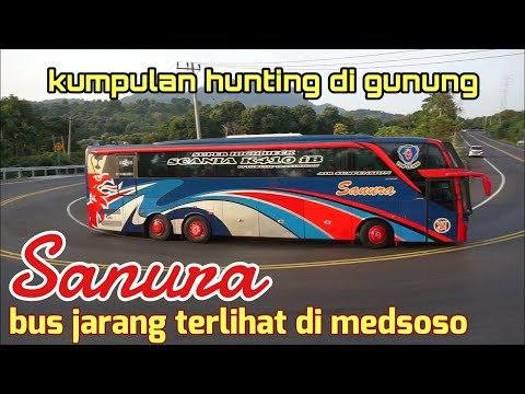 Bus berchasis mewah jarang di medsos SANURA