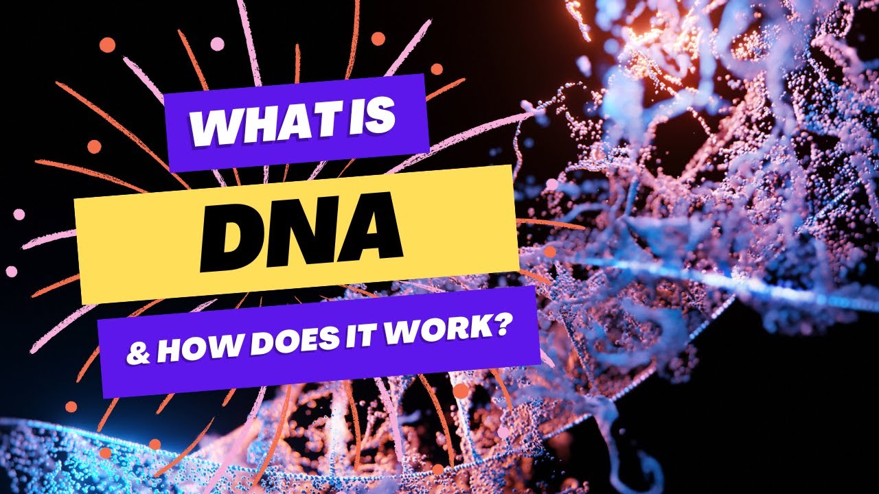 THE MYSTERY OF DNA - EXPLAINED - YouTube