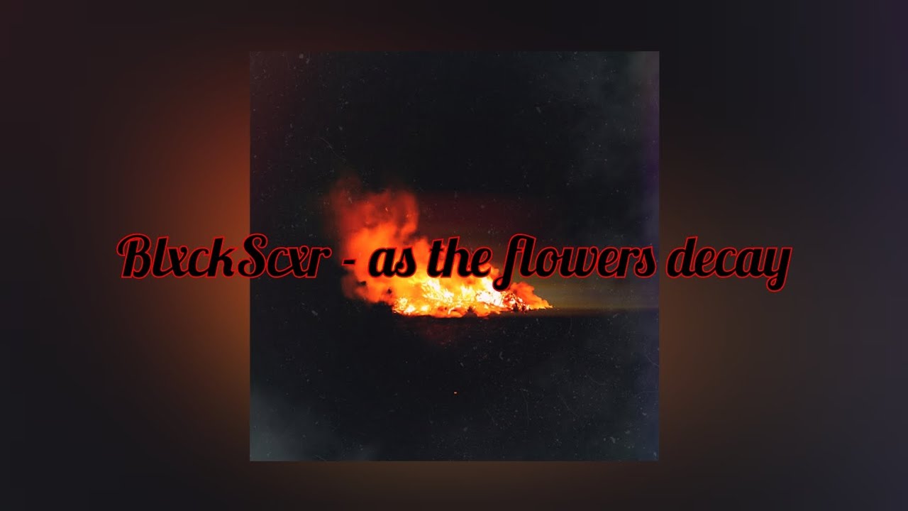 BlxckScxr - as the flowers decay - YouTube