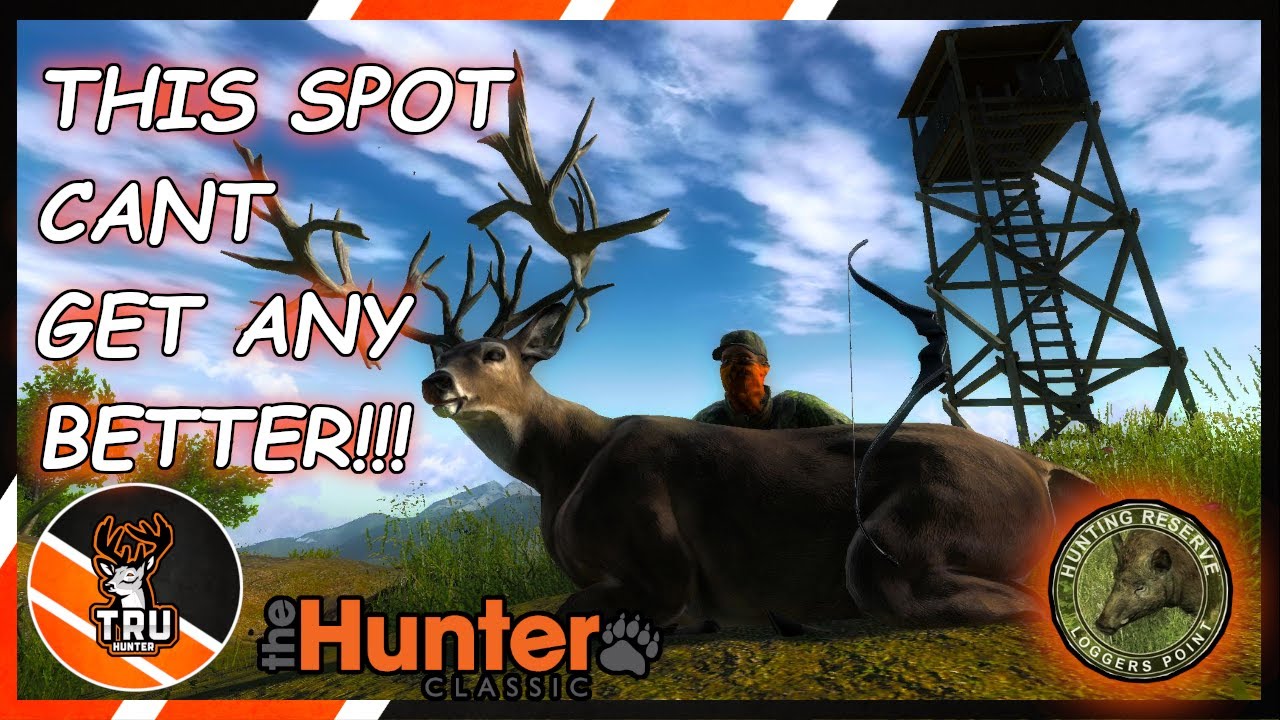 Hunting the BEST spot-on Logger's Point | theHunter Classic - YouTube