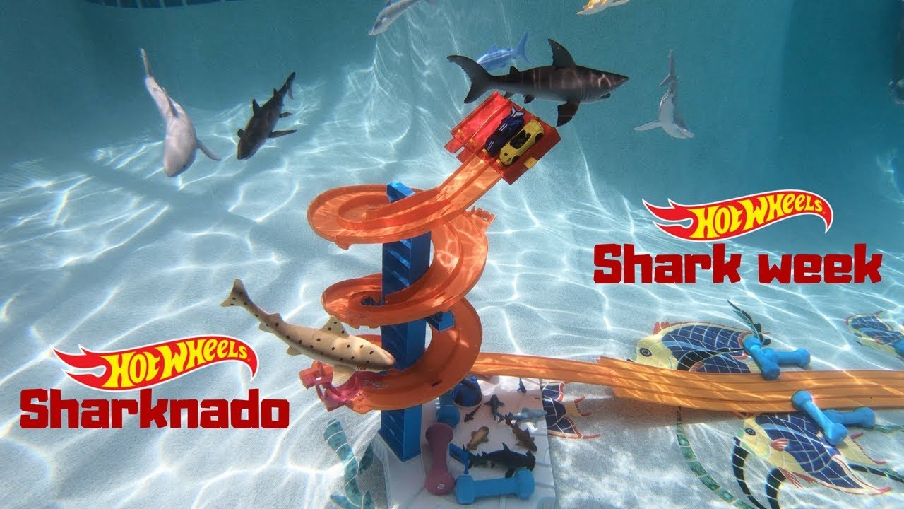 Hot Wheels shark week sharknado corvettes vs sport cars tournament race ...