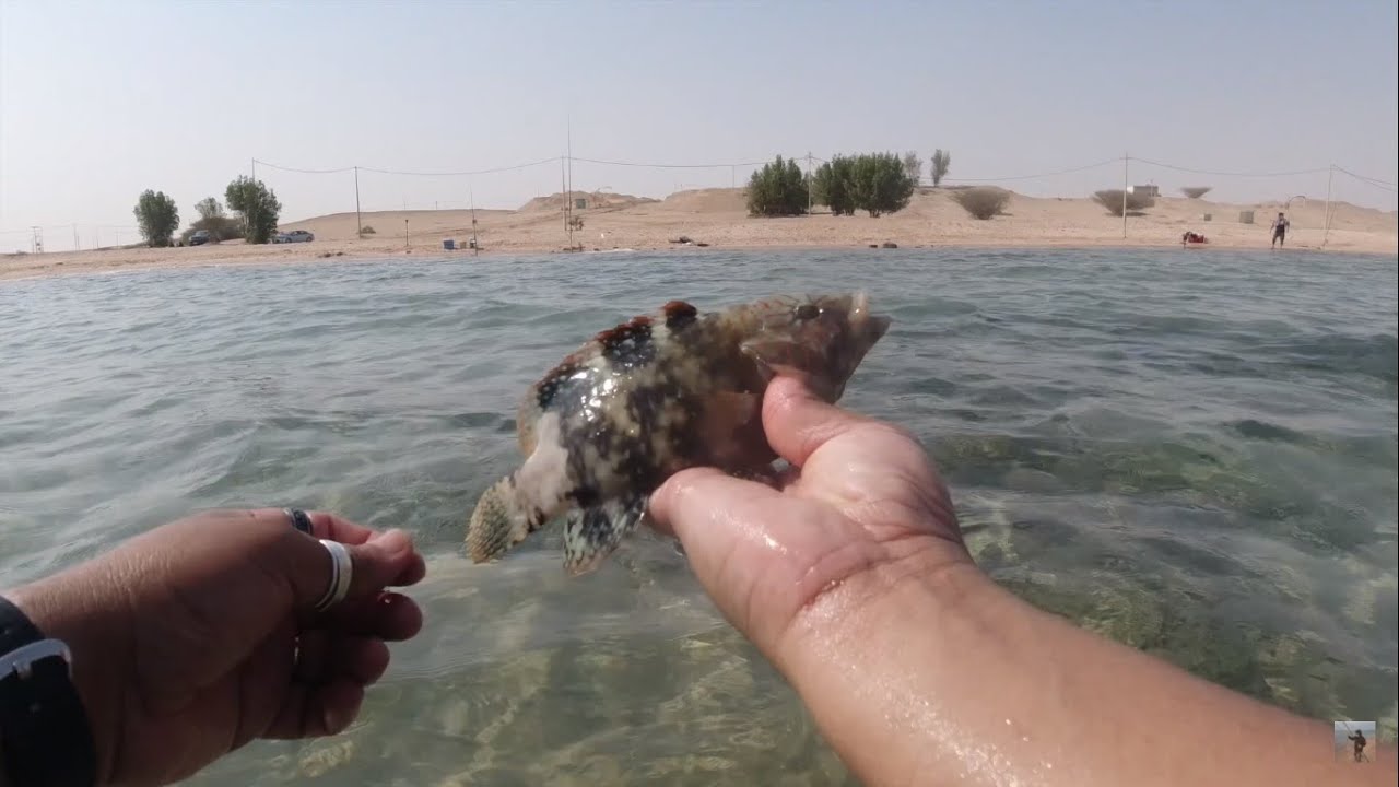 Fishing#06 - Surf fishing on a crowded beach in Gayal Red Sea KSA ...