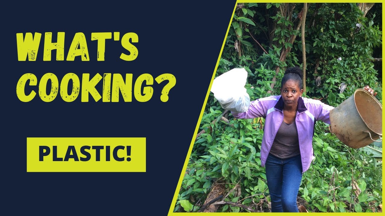 Do Humans Eat Plastic? Help Get 30 Million Pounds Out #TeamSeas ...